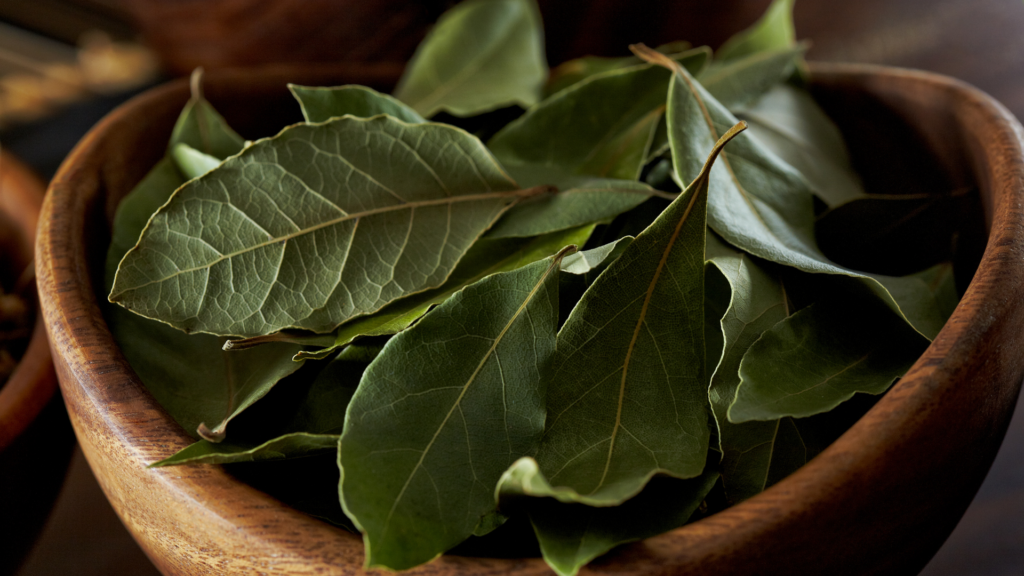 Laurel - the Plant of Glory and Prosperity